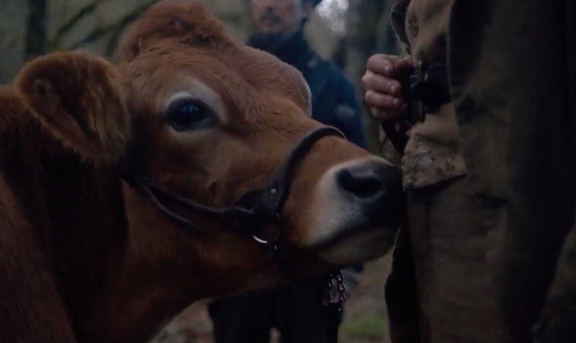 Wylie Writes Reviews 'First Cow'